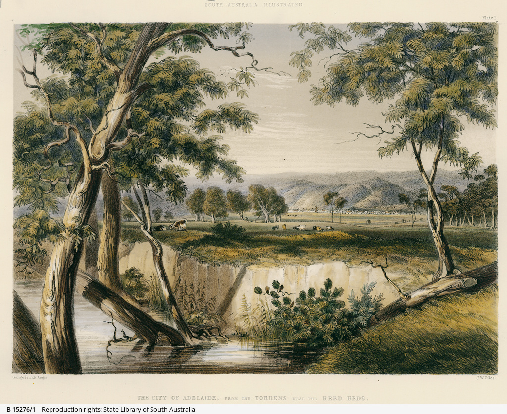 The Killing of George Marsh Halliday | The Family Mess