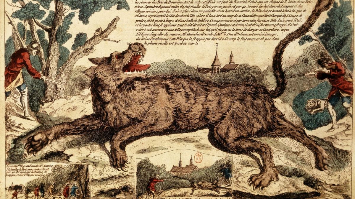 The Werewolf Prince | The Family Mess